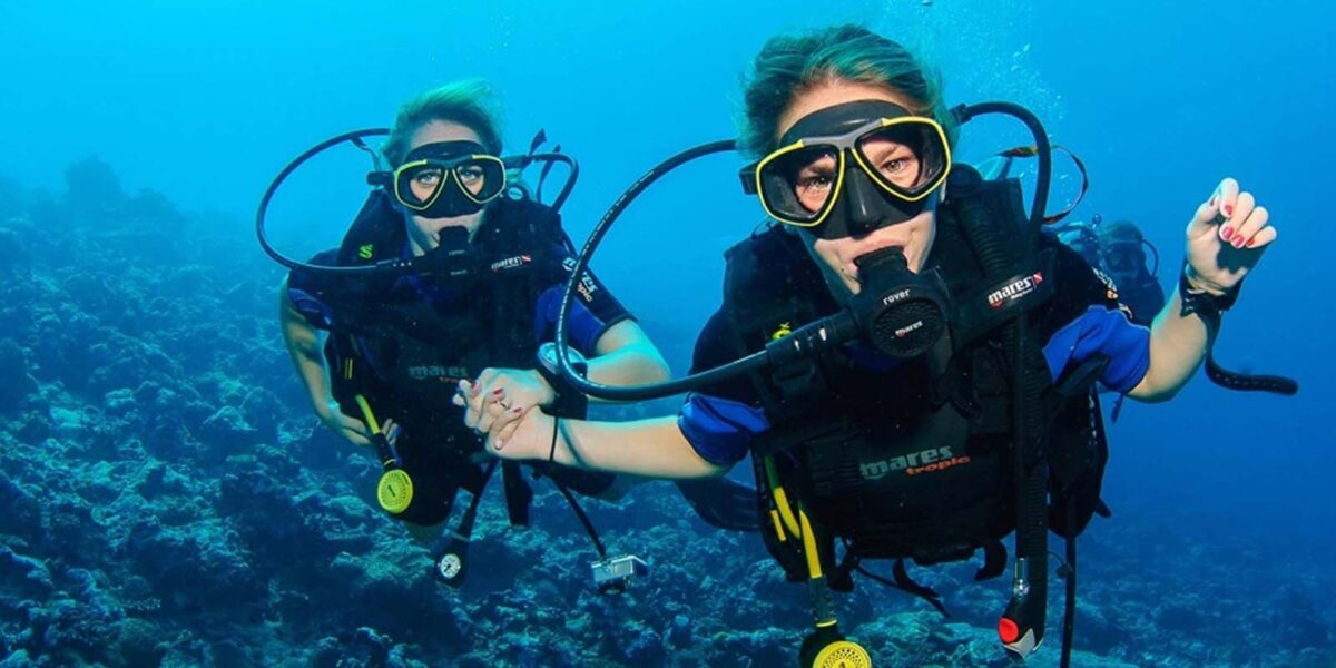 Intro Dive 2 Dive (Boat) - Red Sea Classic Diving Center